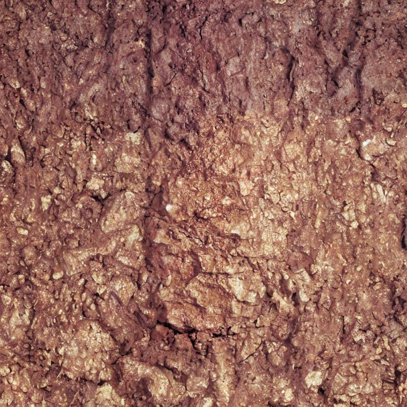 Virginia's State Trivia and History | History By Mail